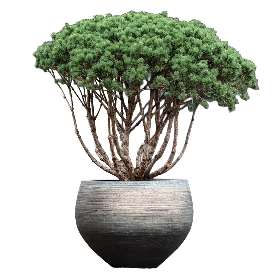 Graz Planter by Domani Planters | Haute Living