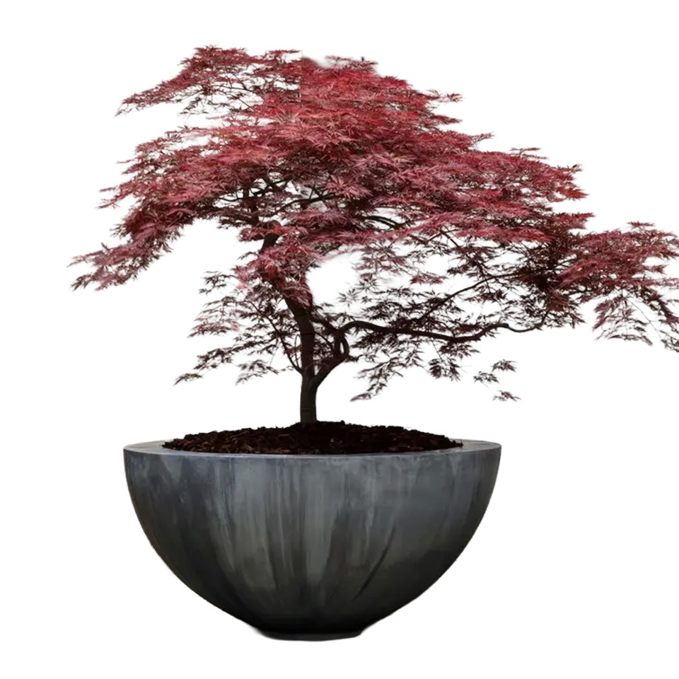 Domani Planters | Haute Living