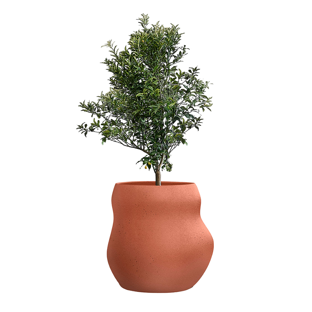 Soma Planter Collection by Indigenus Planters | Haute Living