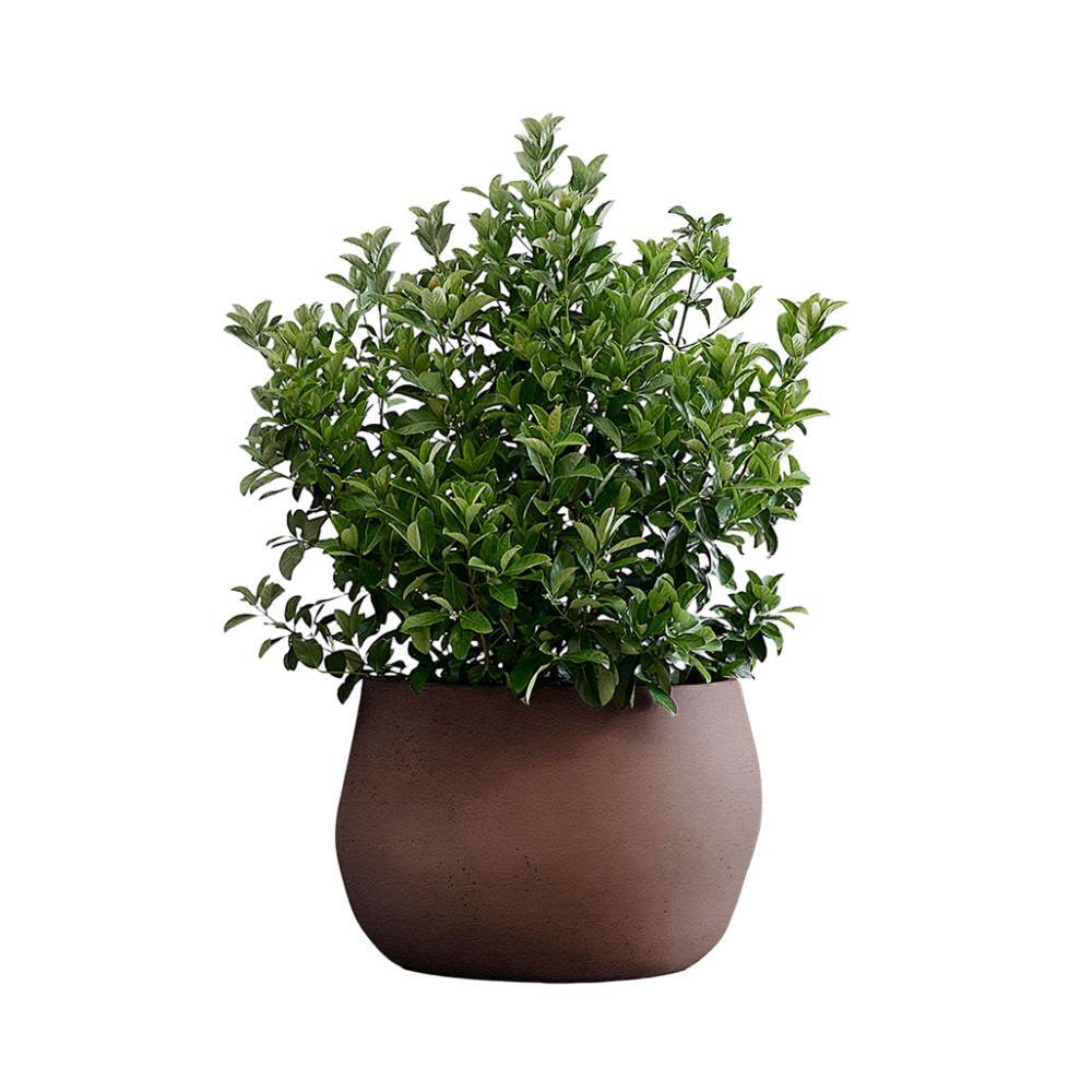 Pebble Planter - Tall by Indigenus Planters | Haute Living