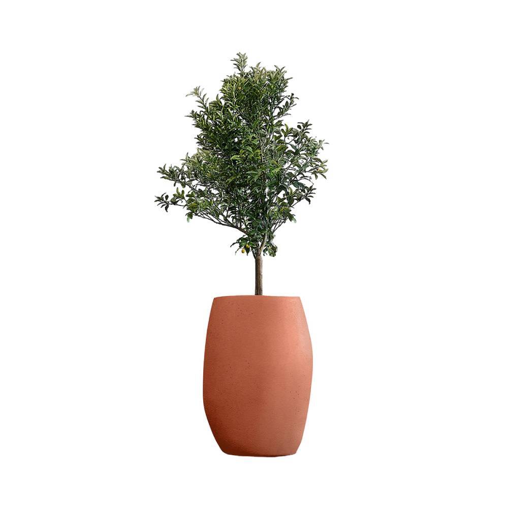 Pebble Planter - Small by Indigenus Planters | Haute Living