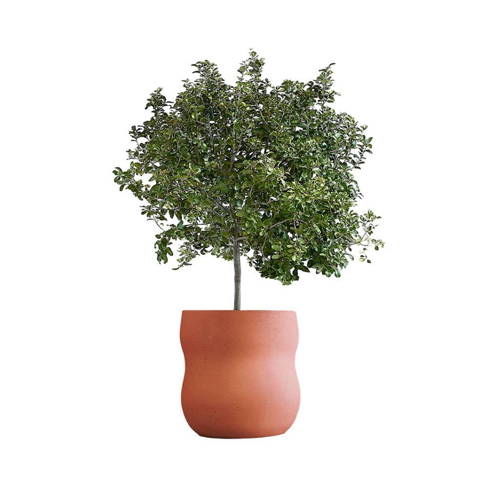 Soma Planter Collection by Indigenus Planters | Haute Living