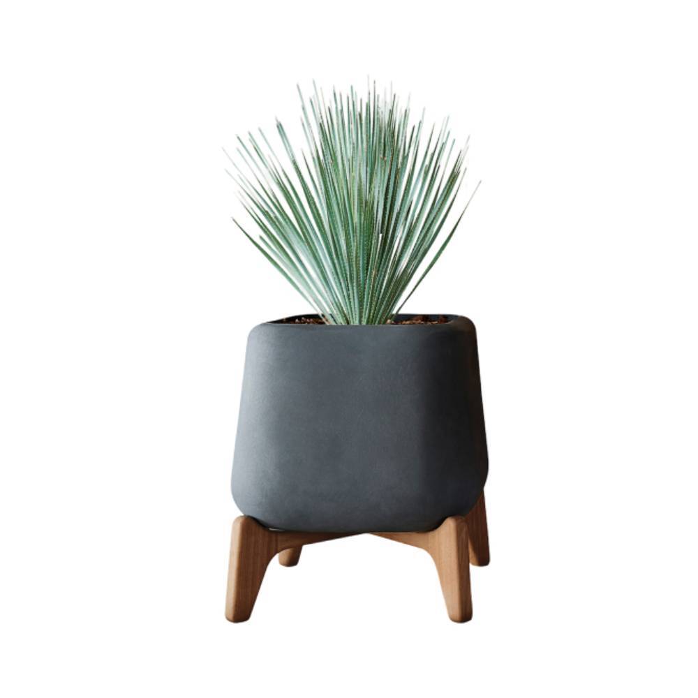 Soma Planter Collection by Indigenus Planters | Haute Living