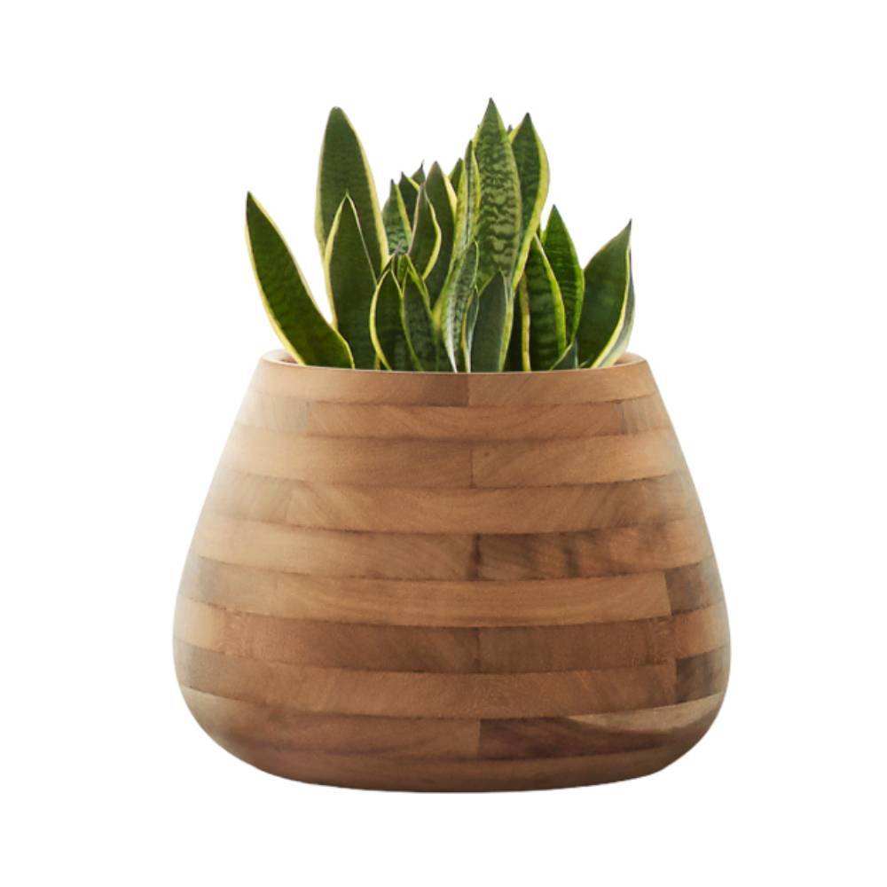 Soma Planter Collection by Indigenus Planters | Haute Living